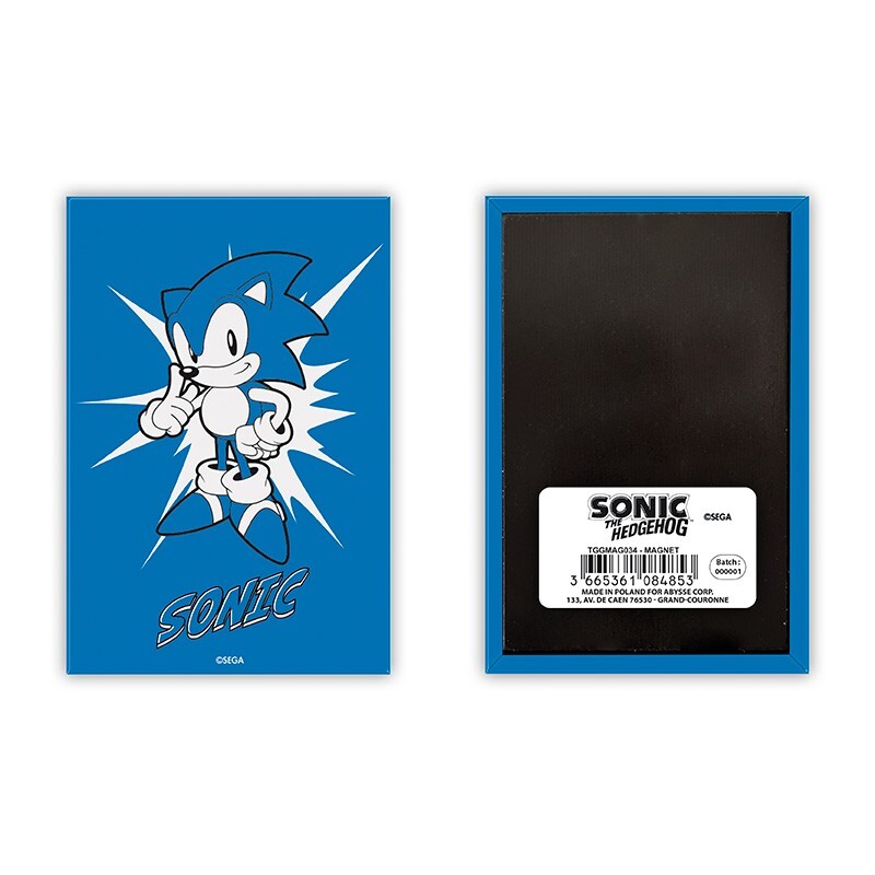 Magnet Sonic | Tips for original gifts