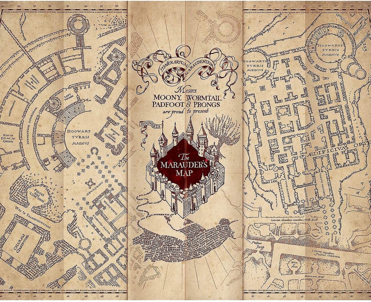 Carte du Maraudeur | Idées de cadeaux originaux