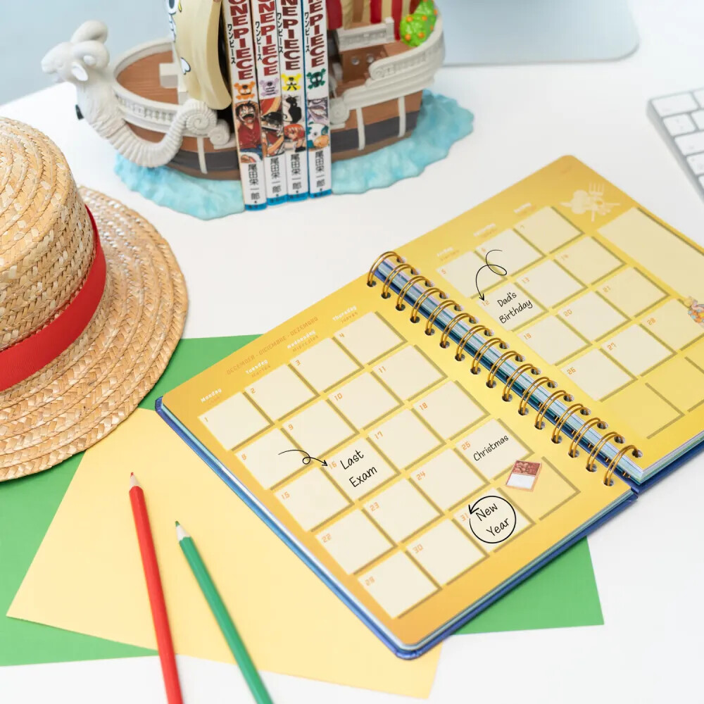 Dagboek One Piece - Egghead | Tips voor originele cadeaus