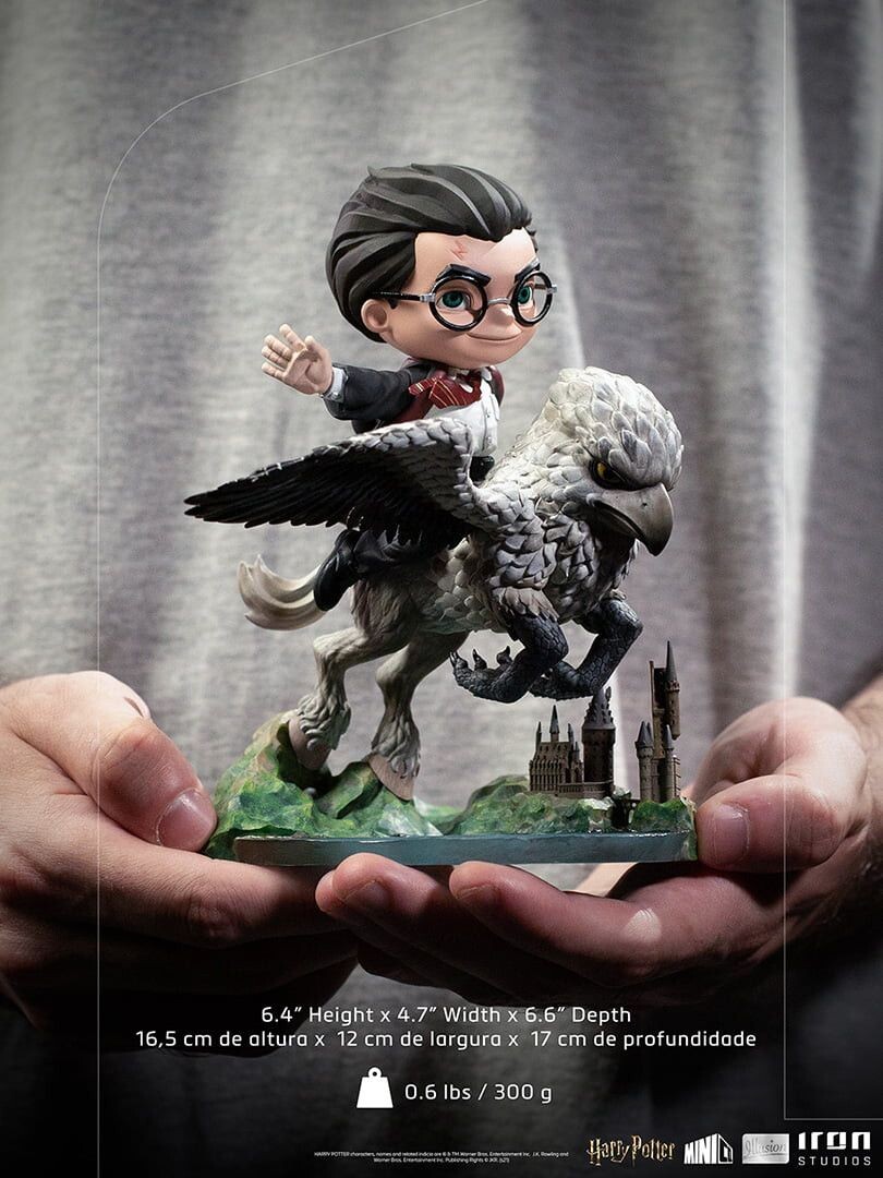 Figurine Mimico - Harry Potter & Buckbeak | Idées de cadeaux originaux ...