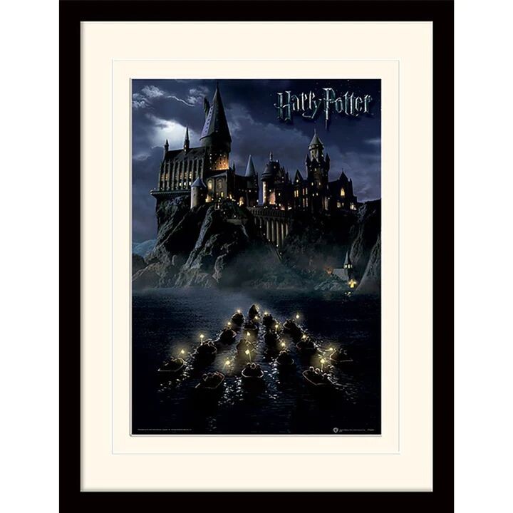 Harry Potter - Hogwarts School Framed poster | Buy at UKposters