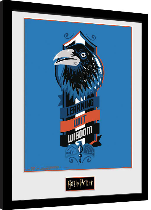 Harry Potter - Learning Framed poster | Buy at UKposters