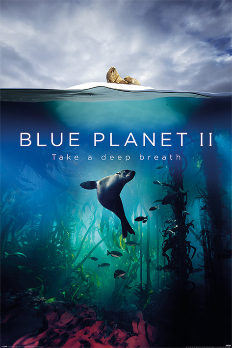 Poster, Quadro Blue Planet 2 - Take A Deep Breath | Poster sul muro | 3 ...