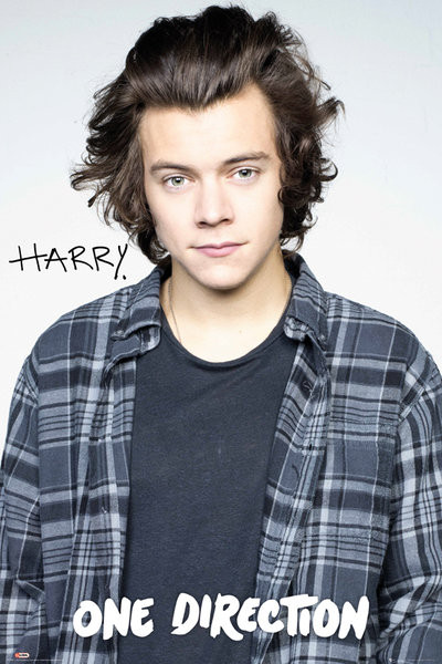 Poster Quadro One Direction Harry 2015 Poster Sul Muro 3 1