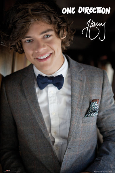 Plakat One Direction - harry portrait | Poster an der Wand | 3+1 GRATIS ...