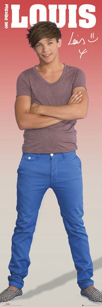 Poster, Quadro One Direction - louis | Poster sul muro | 3+1 GRATIS ...