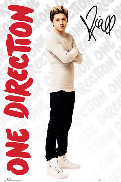 Poster, Quadro One Direction - Niall logos | Poster sul muro | 3+1 ...