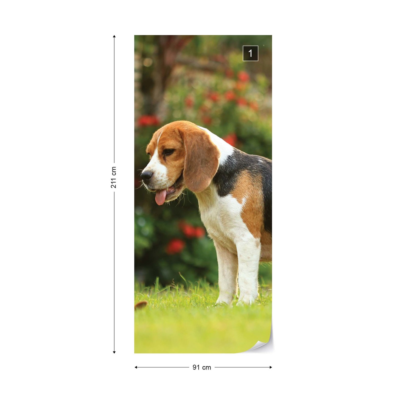 Beagle Dog Poster Mural, Papier peint | Acheter-le sur Europosters.fr