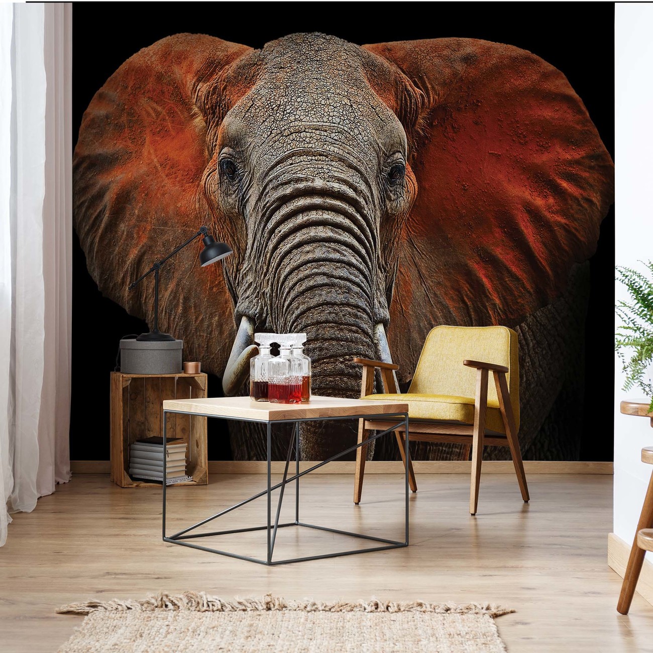 Elephant Poster Mural, Papier peint | Acheter-le sur Europosters.fr