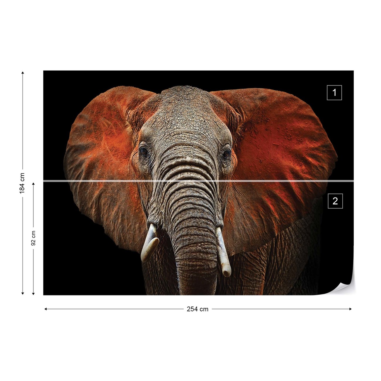 Elephant Poster Mural, Papier peint | Acheter-le sur Europosters.fr