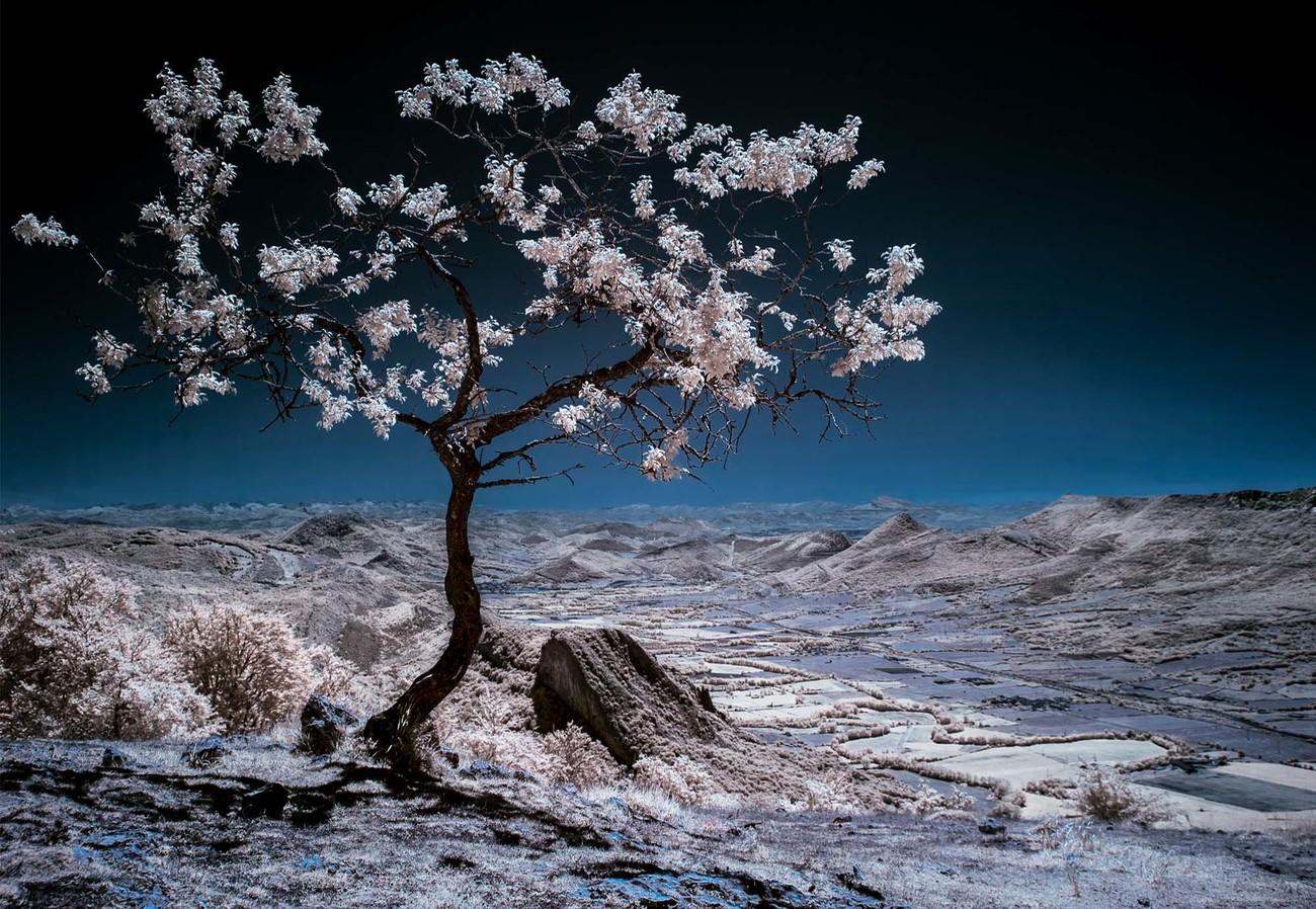 Lonely Poster Mural, Papier peint | Acheter-le sur Europosters.fr