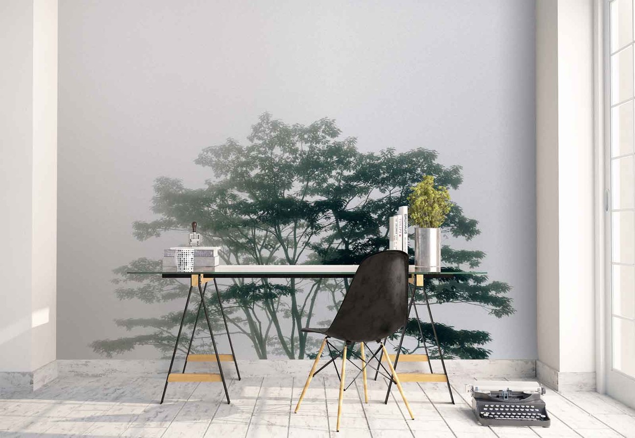 Timor-Leste Poster Mural, Papier peint | Acheter-le sur Europosters.fr