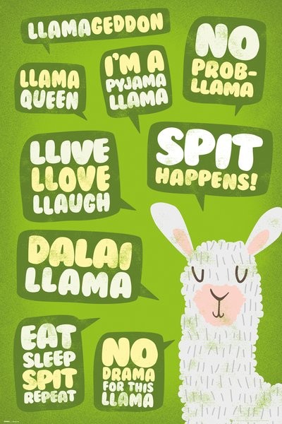 Llama - Quotes Póster, Lámina | Compra en Posters.es