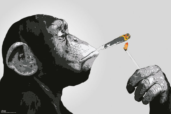 Monke Póster, Lámina | Compra en Posters.es