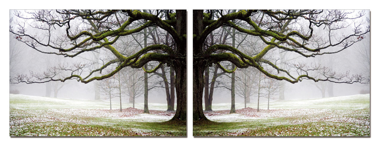 Obraz Ranní mrazík na zeď na Posters.cz