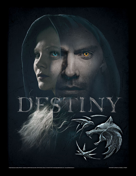 Lámina enmarcada The Witcher - Destiny| Pósters, cuadros | Posters.es
