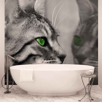 Koop Katten Posters van EuroPosters.nl