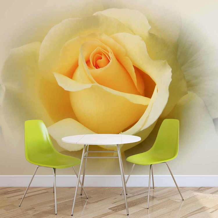Yellow rose wallpaper store