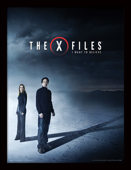 Lámina enmarcada The X-Files - I Want to Believe| Pósters, cuadros ...