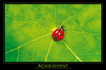 Poster, Affiche Jan Lens - Achievement en ligne | 3+1 GRATUIT | Europosters
