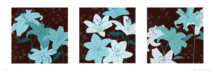 Poster, Affiche Kate Knight - triptych en ligne | 3+1 GRATUIT | Europosters