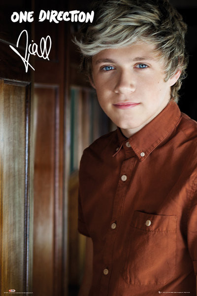 Poster, Affiche One Direction - niall portrait en ligne | 3+1 GRATUIT ...