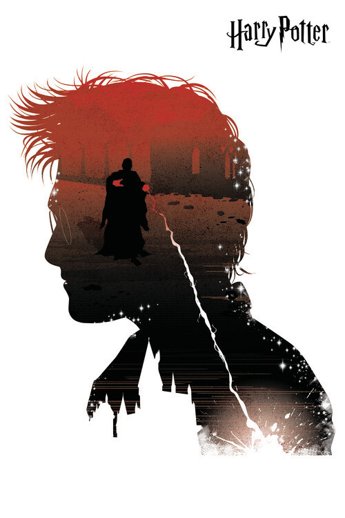 Poster, quadro Harry Potter and Lord Voldemort | Regalos, merch | Posters