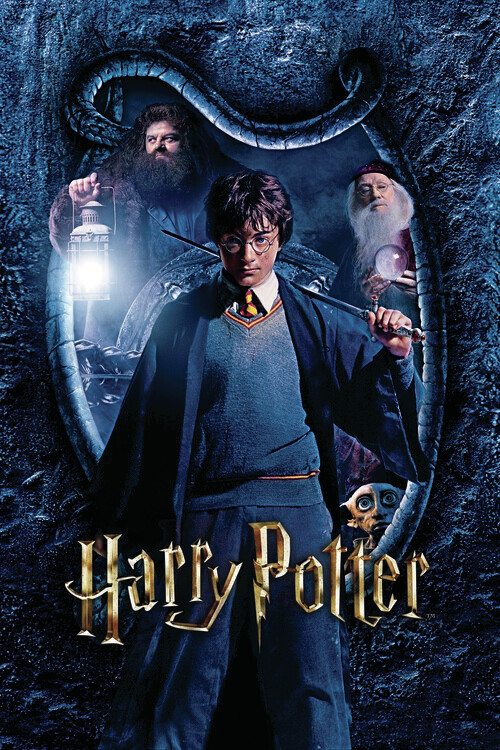 Poster, quadro Harry Potter | Regalos, merch | Posters