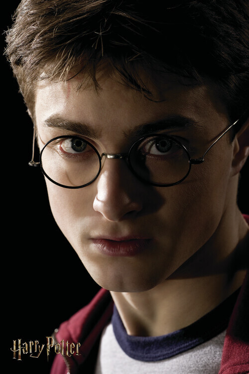 Poster, stampa Harry Potter - Portrait | Regali & Merch | Europosters