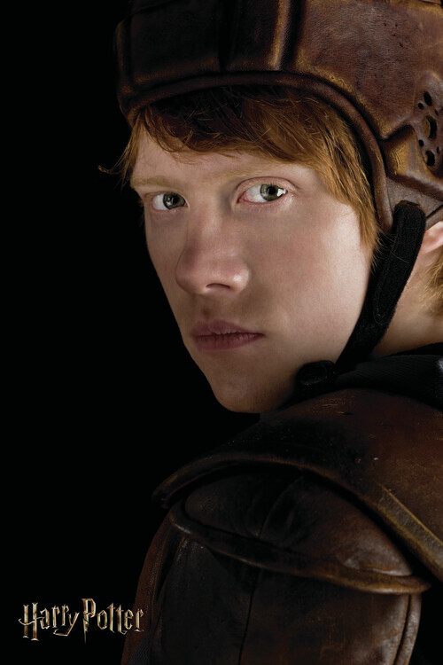 Poster, quadro Harry Potter - Ron Weasley | Regalos, merch | Posters