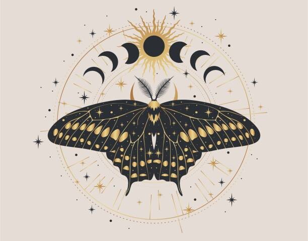 Illustration artistiques | Mystic gold moth isolated vector ...