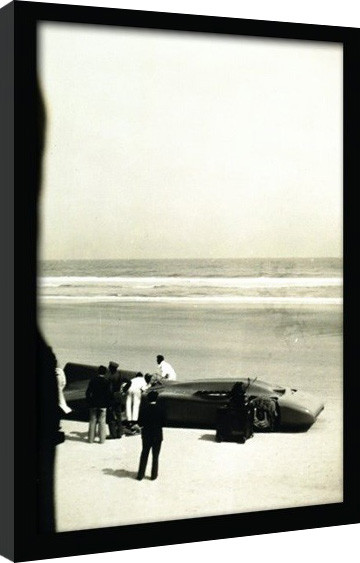 BLUEBIRD Framed poster | Buy at UKposters