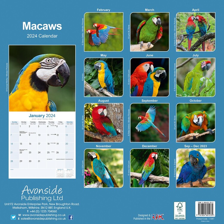 Macaws - Calendarios de pared 2025 | Consíguelos en Posters.es
