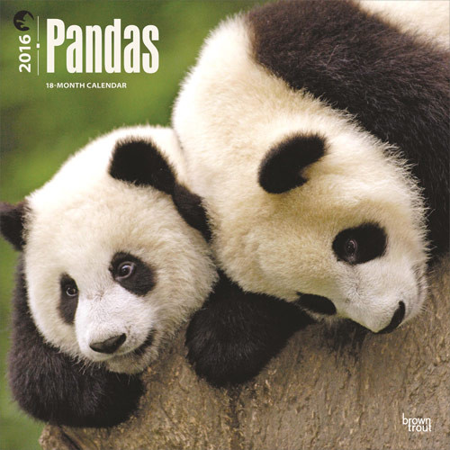 Pandas - Calendarios de pared 2024 | Consíguelos en Posters.es