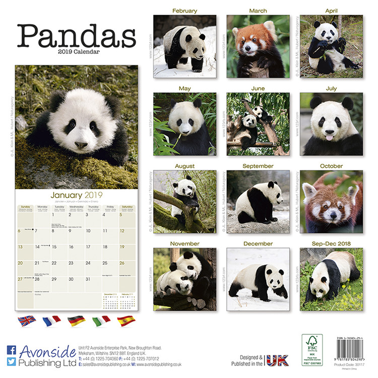 Pandas - Calendarios de pared 2019 | Consíguelos en Posters.es