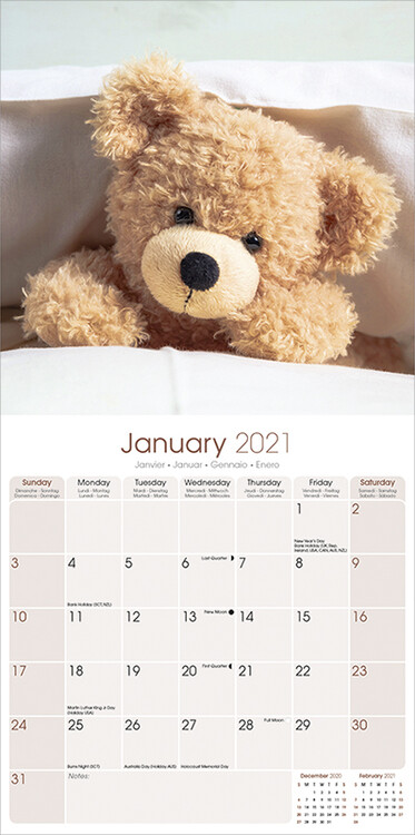 Teddy Bears - Calendarios de pared 2021 | Consíguelos en Posters.es