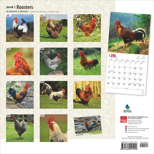 Roosters - Wall Calendars 2016 | Buy at Europosters