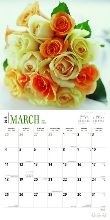 Roses - Wall Calendars 2018 | Buy at UKposters