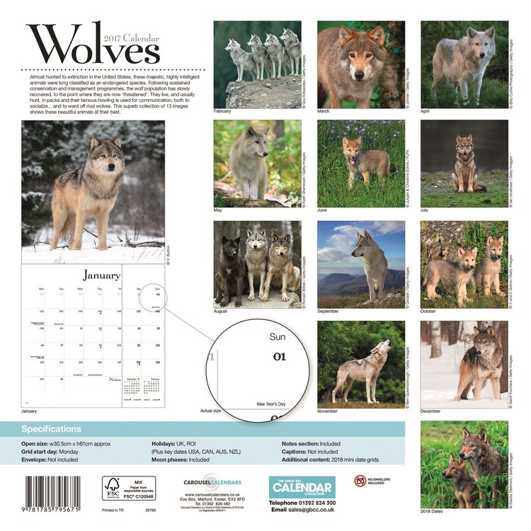 Wolves - Wall Calendars 2018 | Buy at UKposters