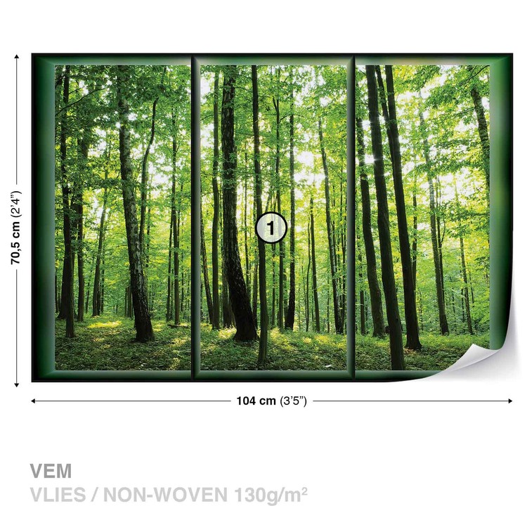 Carta da parati - Alberi Foresta Verde Natura | EuroPosters.it