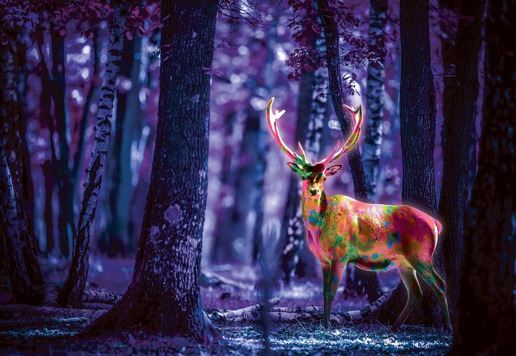 Fotomural Mystical Stag In Forest At Night, Papel pintado | Posters.es