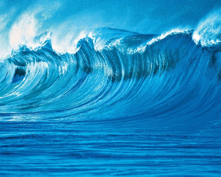 Ola fotomural de pared decorativo | Papeles pintados | Posters.es