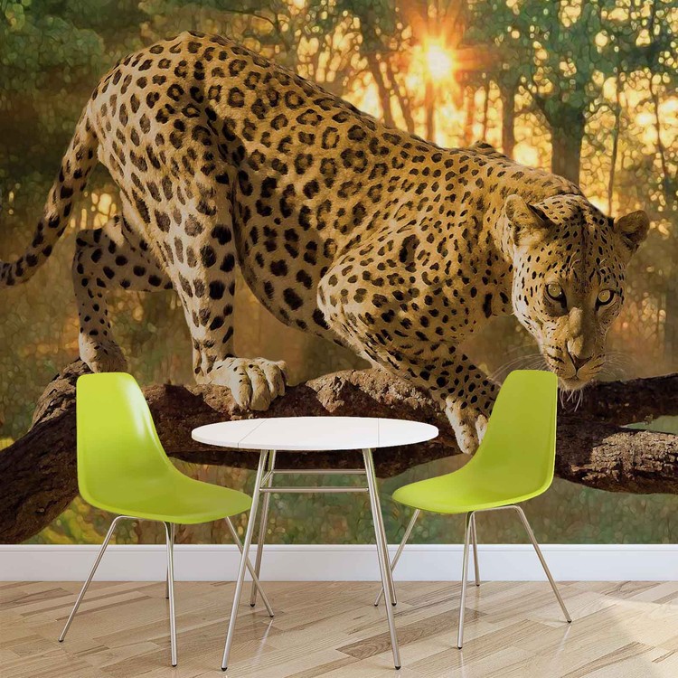 Leopard Fototapet, Tapet på Europosters.dk
