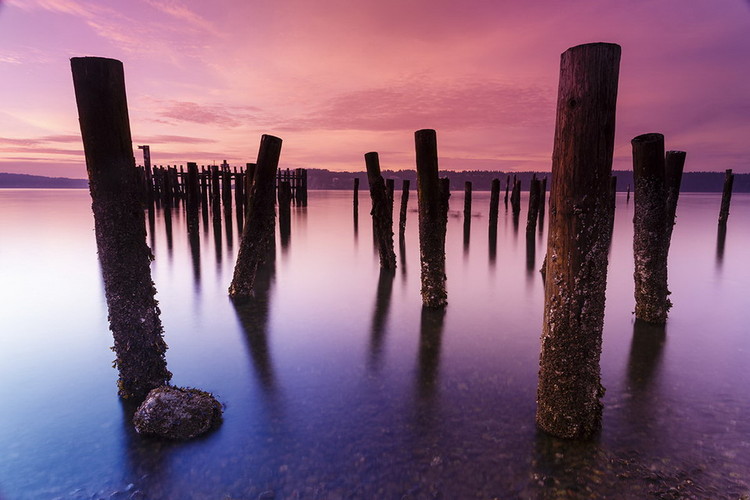 Wooden Landing Jetty - Colored Jetty Glasschilderij - op EuroPosters.nl
