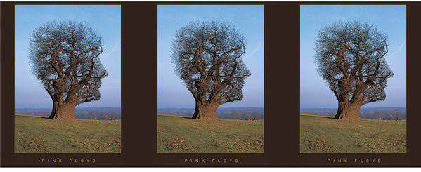 Hrnek Pink Floyd - Tree | Tipy na originální dárky | Posters.cz