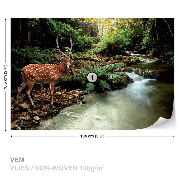 Fotomurale, carta da parati Cervo nella Foresta | Europosters
