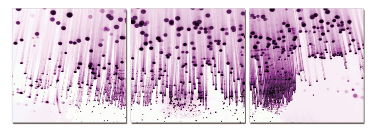 Modern Design - Purple Rain Mounted Art Print | Buy at UKposters