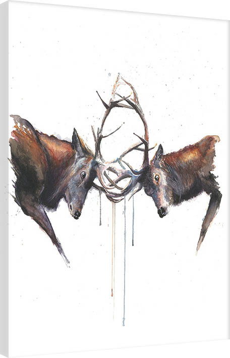 Cuadros en lienzo Sarah Stokes - Headstrong | Decoraciones de la pared ...