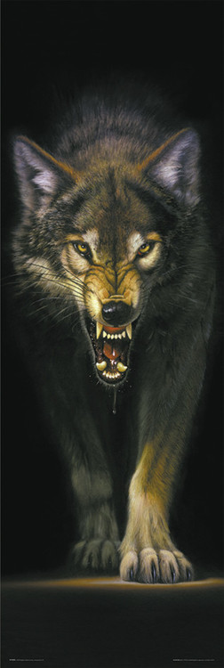 Plakát Prowlinf wolf – číhající vlk | Obraz na zeď | 3+1 zdarma ...
