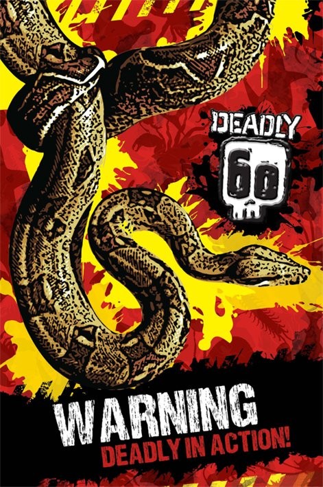 Poster, Quadro Deadly 60 - warning | Poster sul muro | 3+1 GRATIS ...
